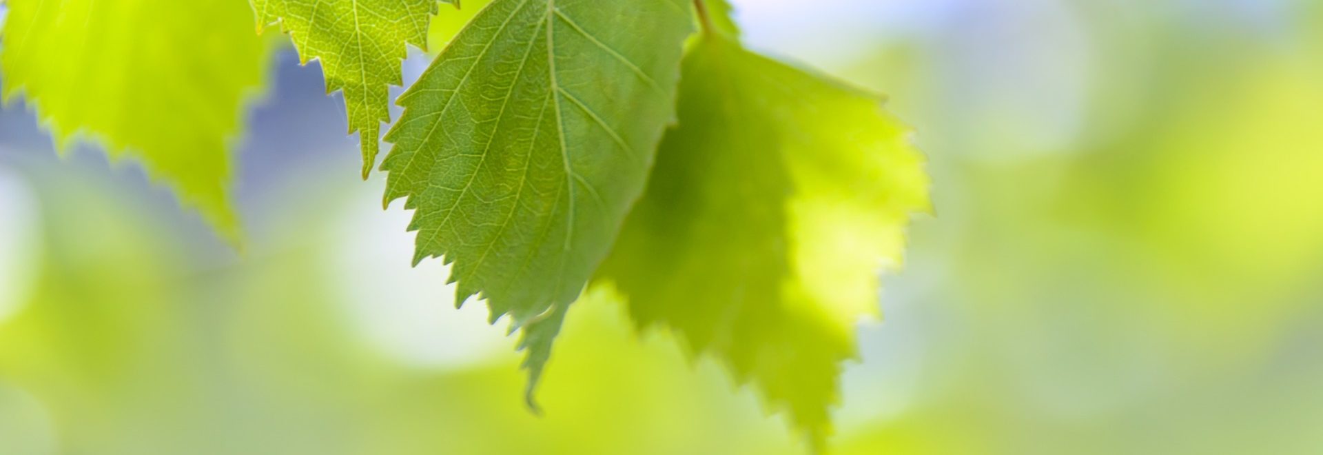Vihta tai vasta! | Martat