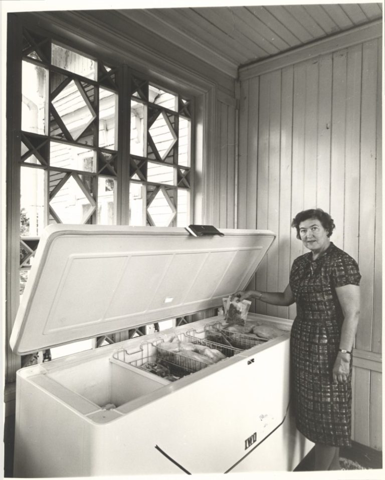 Hedelmien pakastus | Martat