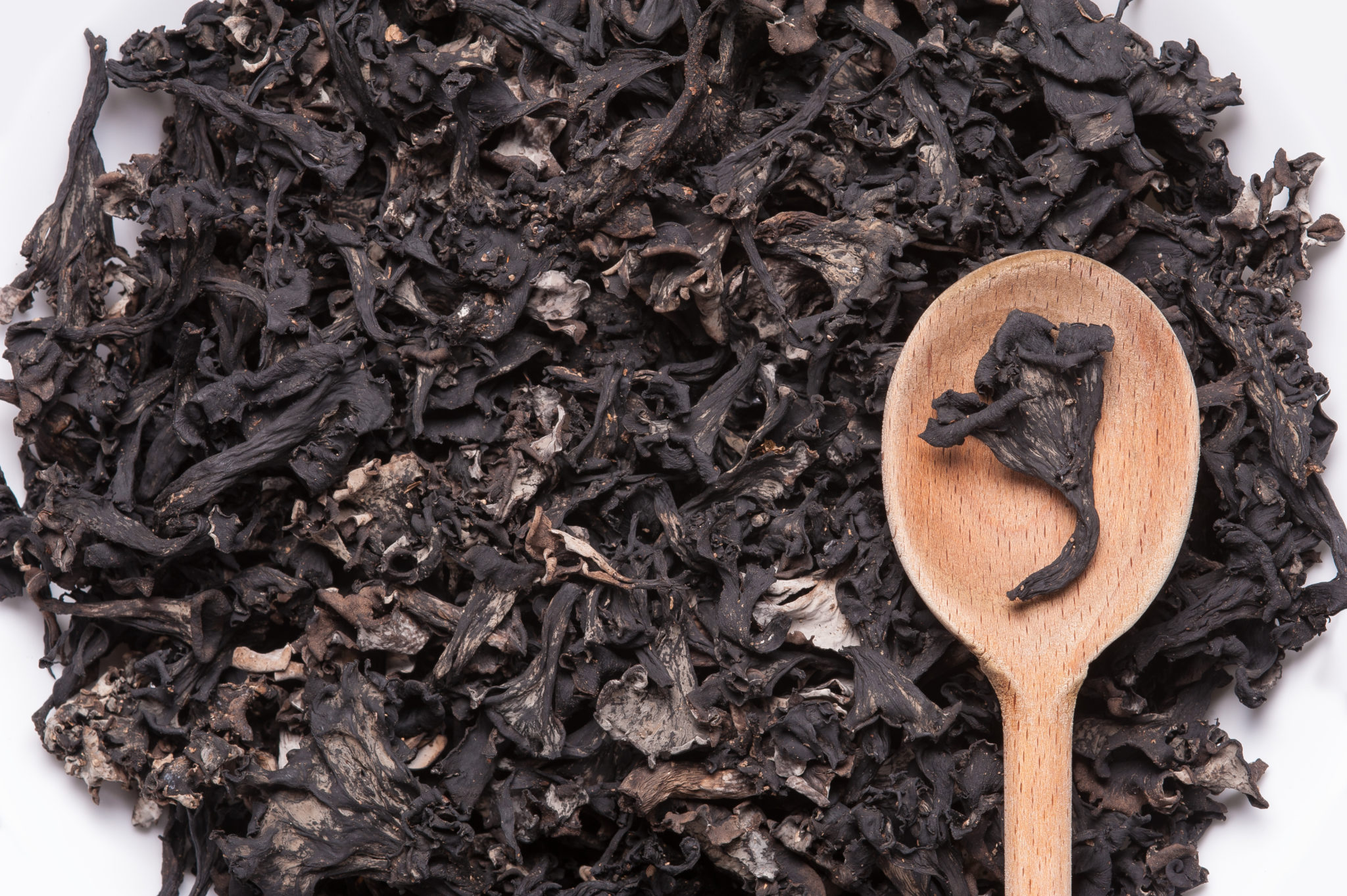 Mustatorvisieni | Martat